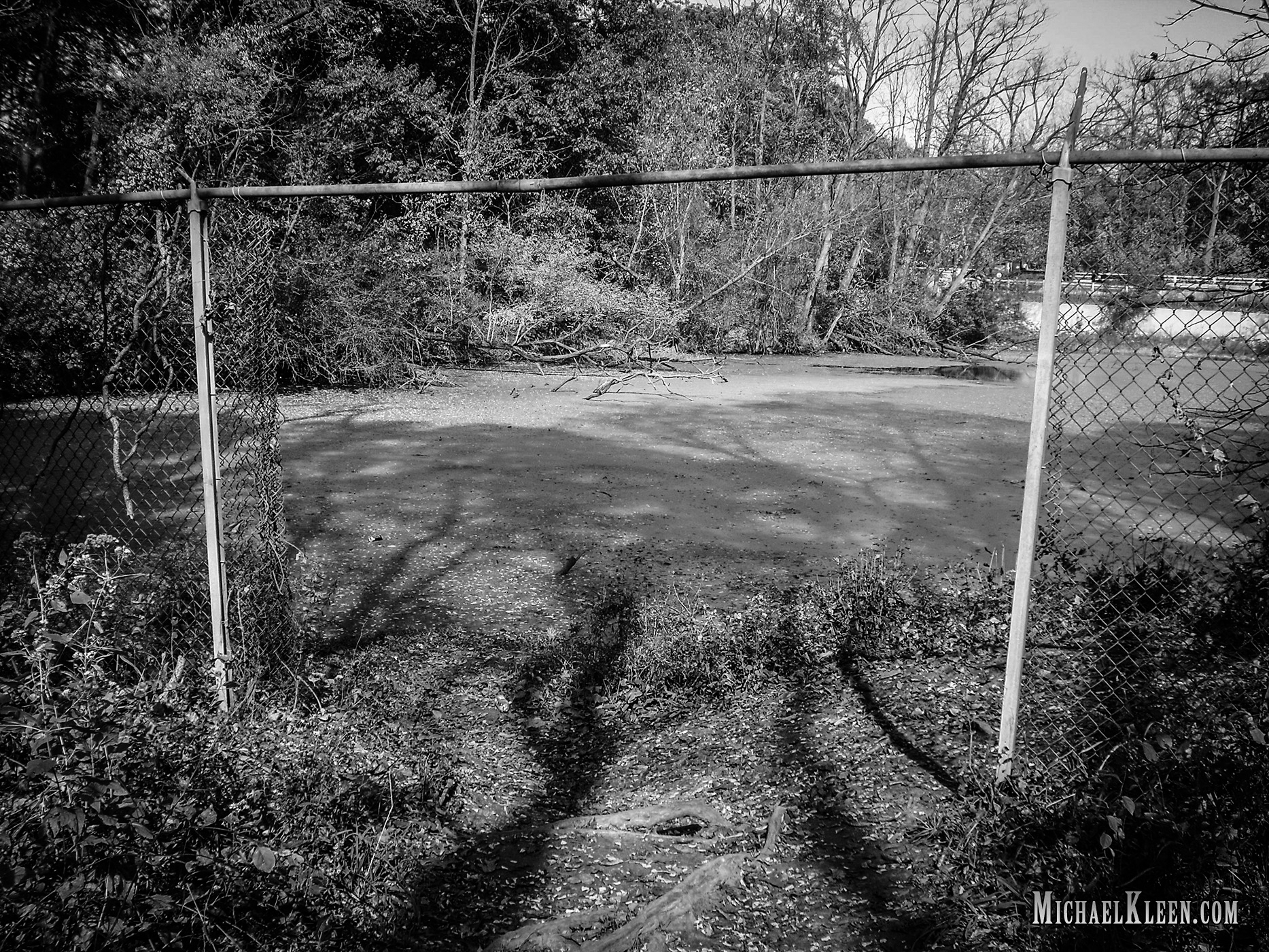 The Many Mysteries of Bachelor’s Grove – M.A. Kleen