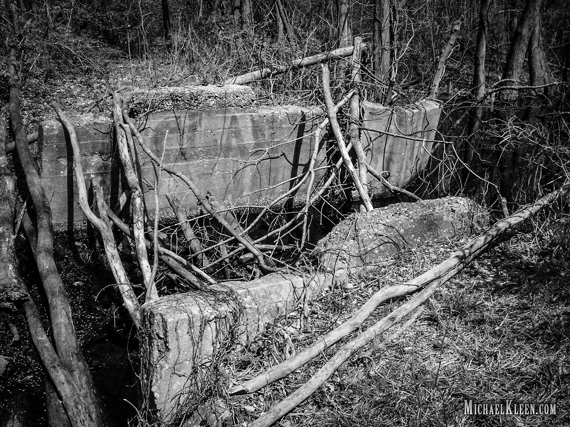 Hartford Castle’s Once-Majestic Remains – M.A. Kleen