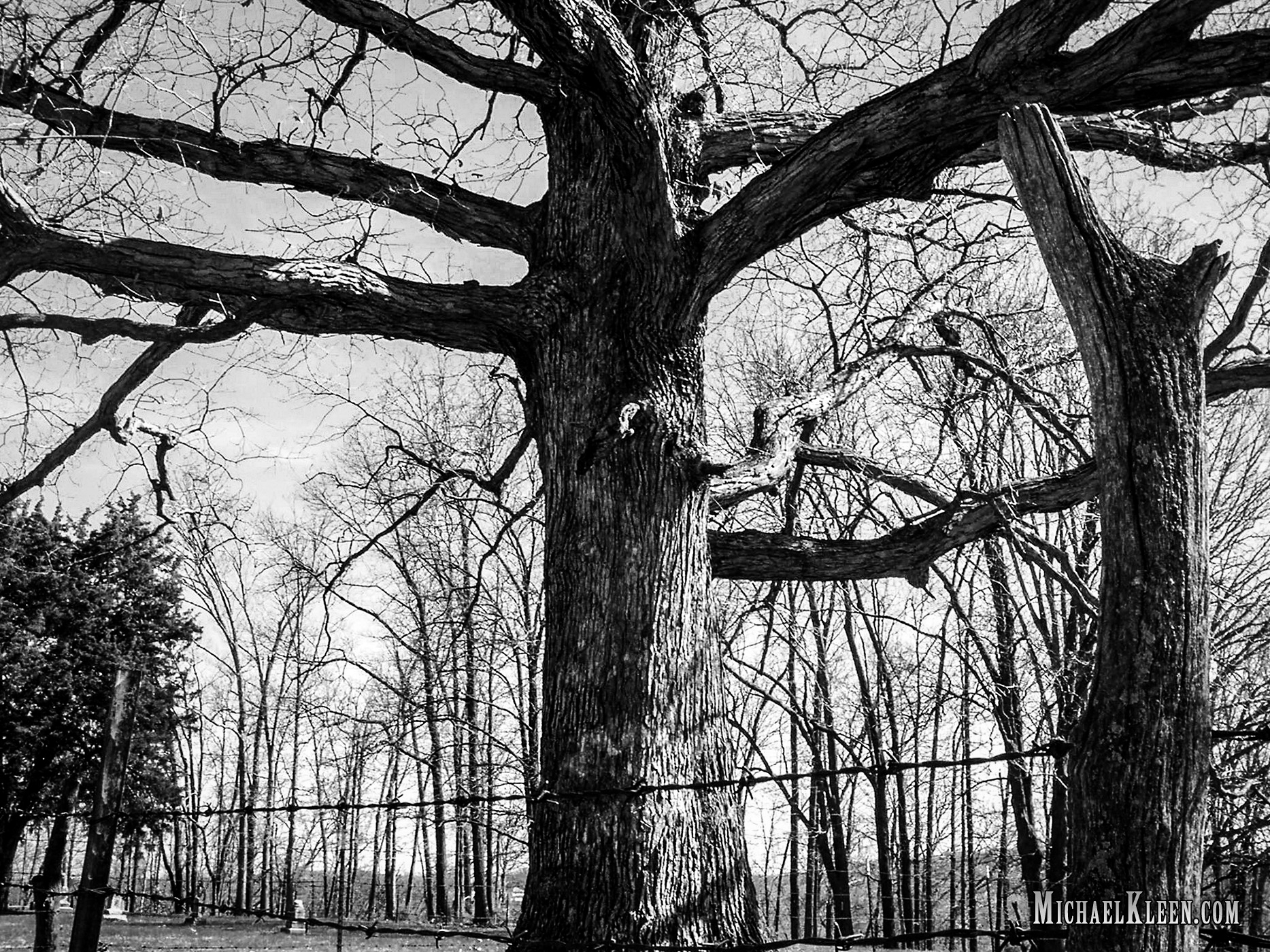 Ramsey Cemetery’s Harrowing Casbah – M.A. Kleen