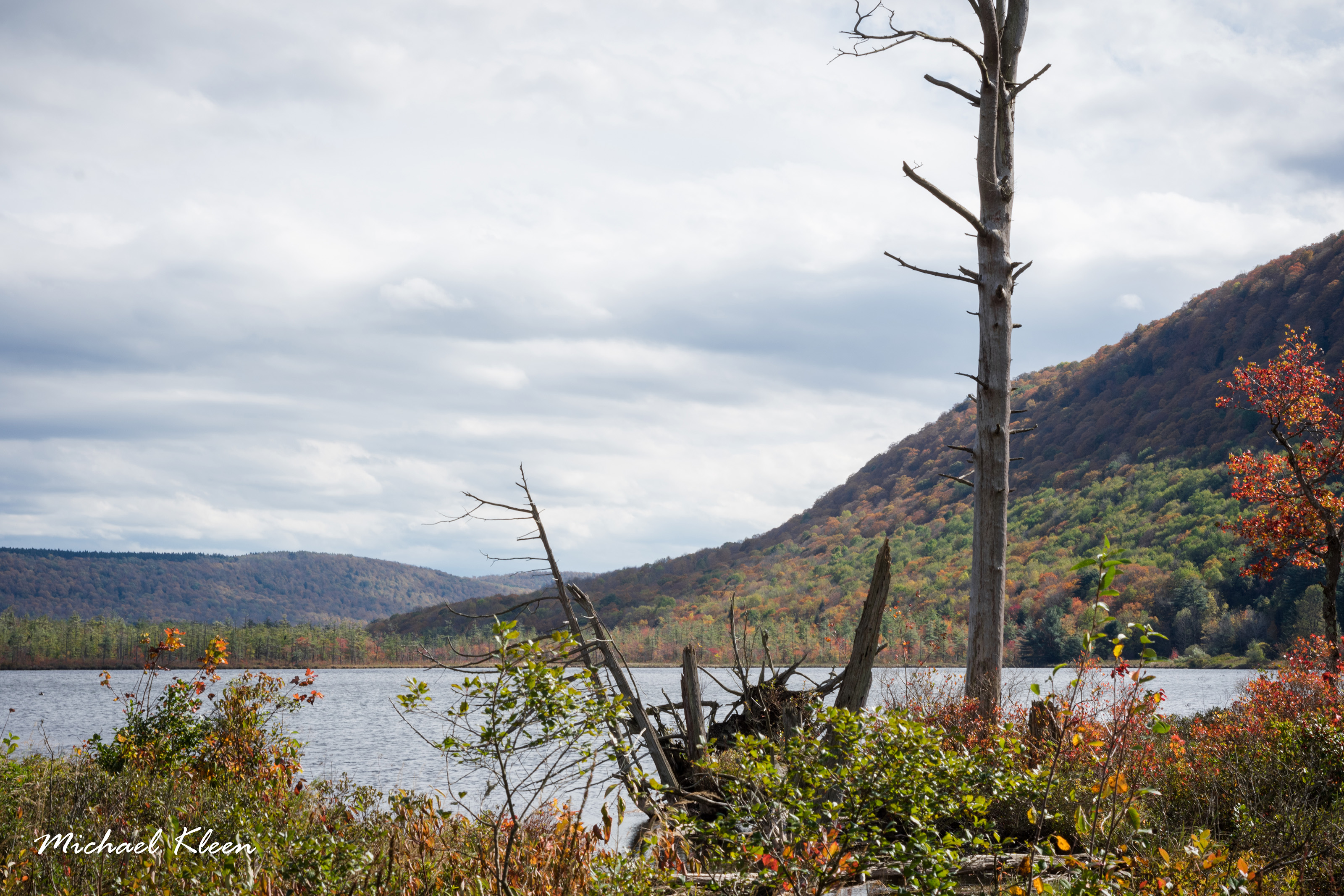 An Afternoon at Labrador Hollow and Tinker Falls – M.A. Kleen