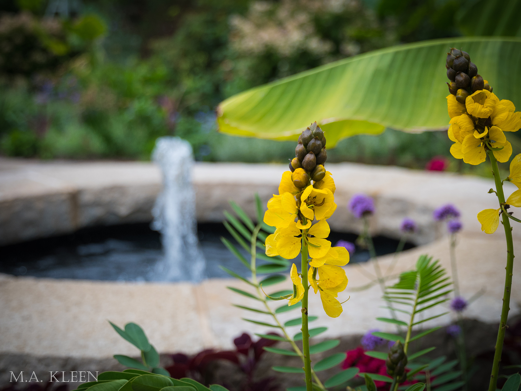 Olbrich Botanical Gardens in Madison, Wisconsin – M.A. Kleen