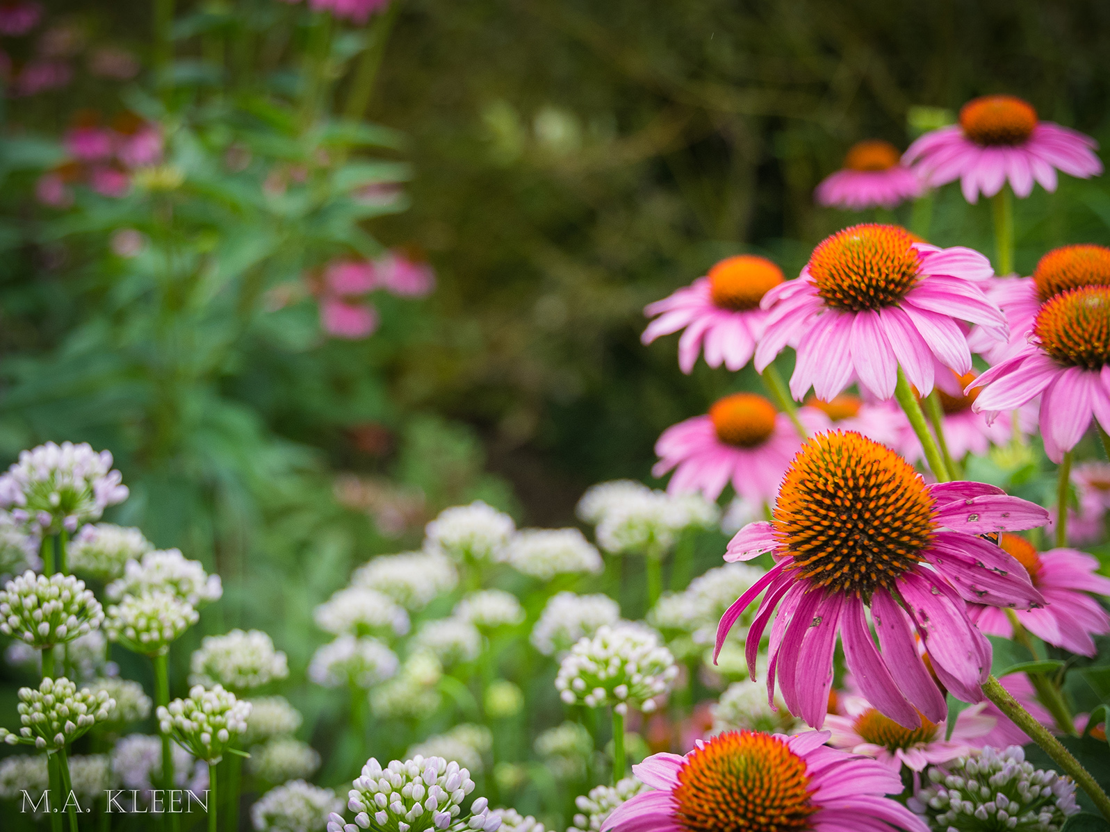 Olbrich Botanical Gardens in Madison, Wisconsin – M.A. Kleen