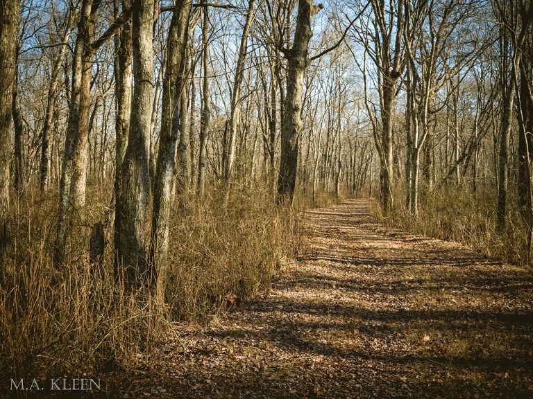 Great Swamp Battle Monument – M.A. Kleen