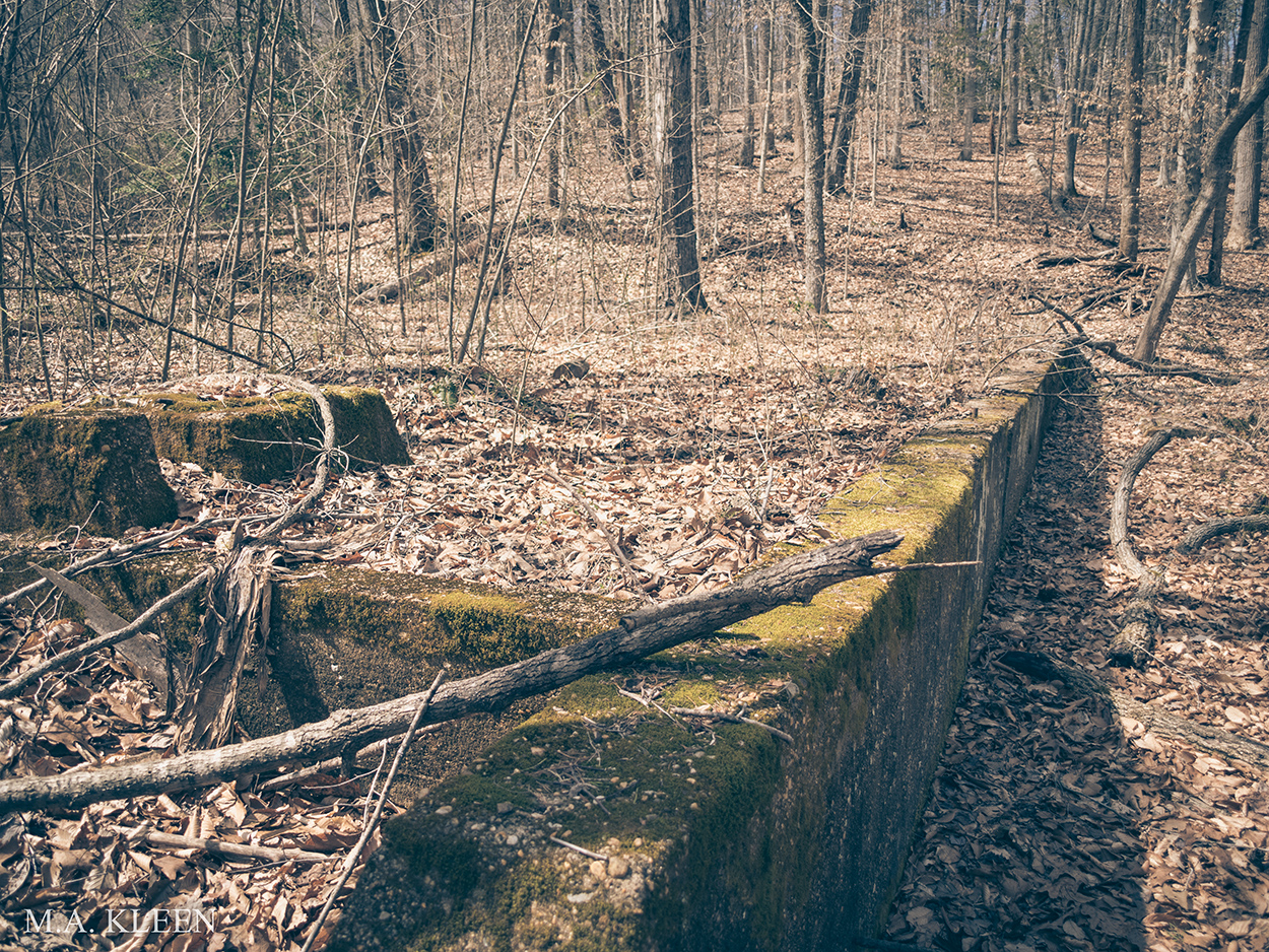 An Afternoon at Cabin Branch Pyrite Mine – M.A. Kleen