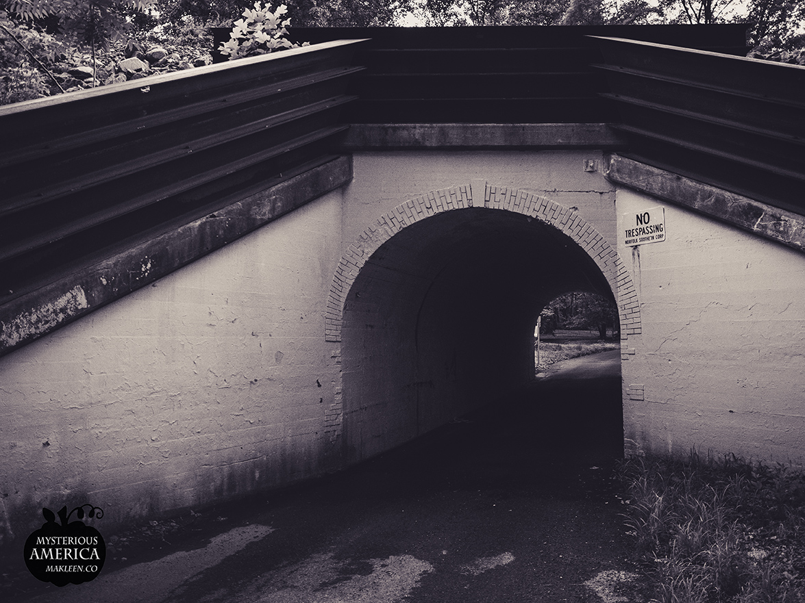 Beware the Ax-Wielding Bunny Man of Fairfax County – M.A. Kleen