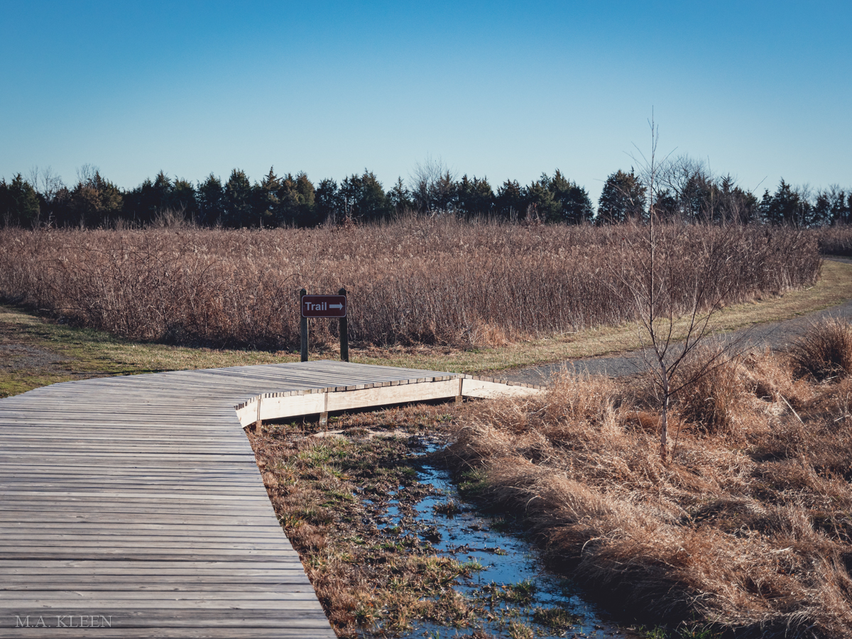 Kettle Run Battlefield in Prince William County, Virginia – M.A. Kleen